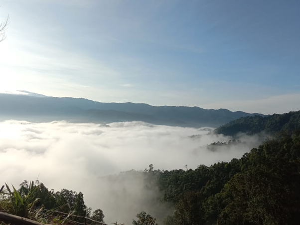 Negeri di Atas Awan Citorek: Simfoni Keindahan Alam dan Kekuatan ...